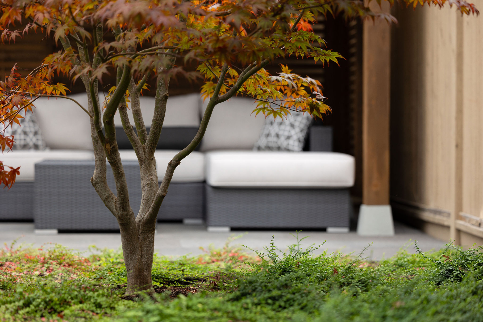 161 Design Studio | Projects | Fraser Heights